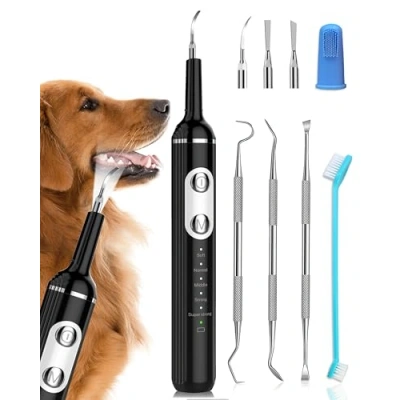 Zahnstein Hund Selbst Entfernen Ultraschall